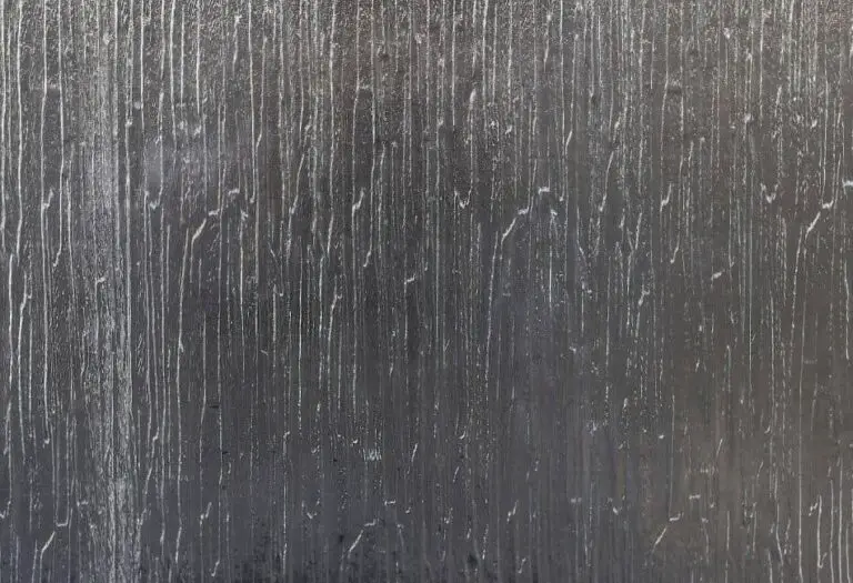 7 Best Glass Shower Door Ideas For Maximum Privacy – Homes On Point