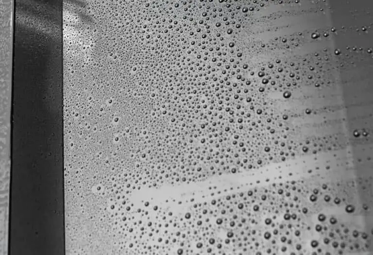 7 Best Glass Shower Door Ideas For Maximum Privacy – Homes On Point